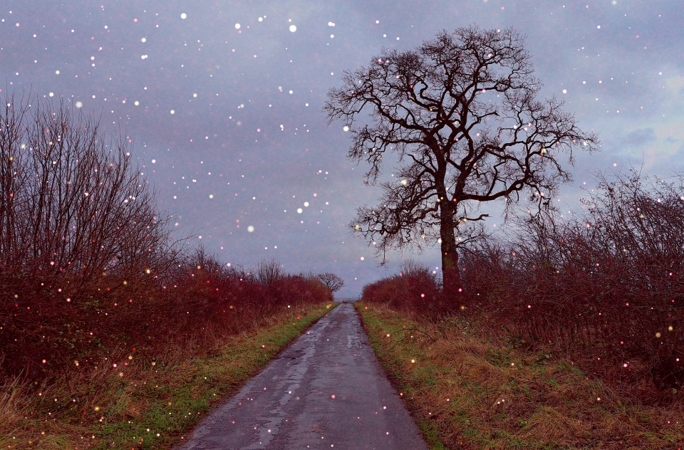 Christmas Eve Wander | Effigy | Blipfoto