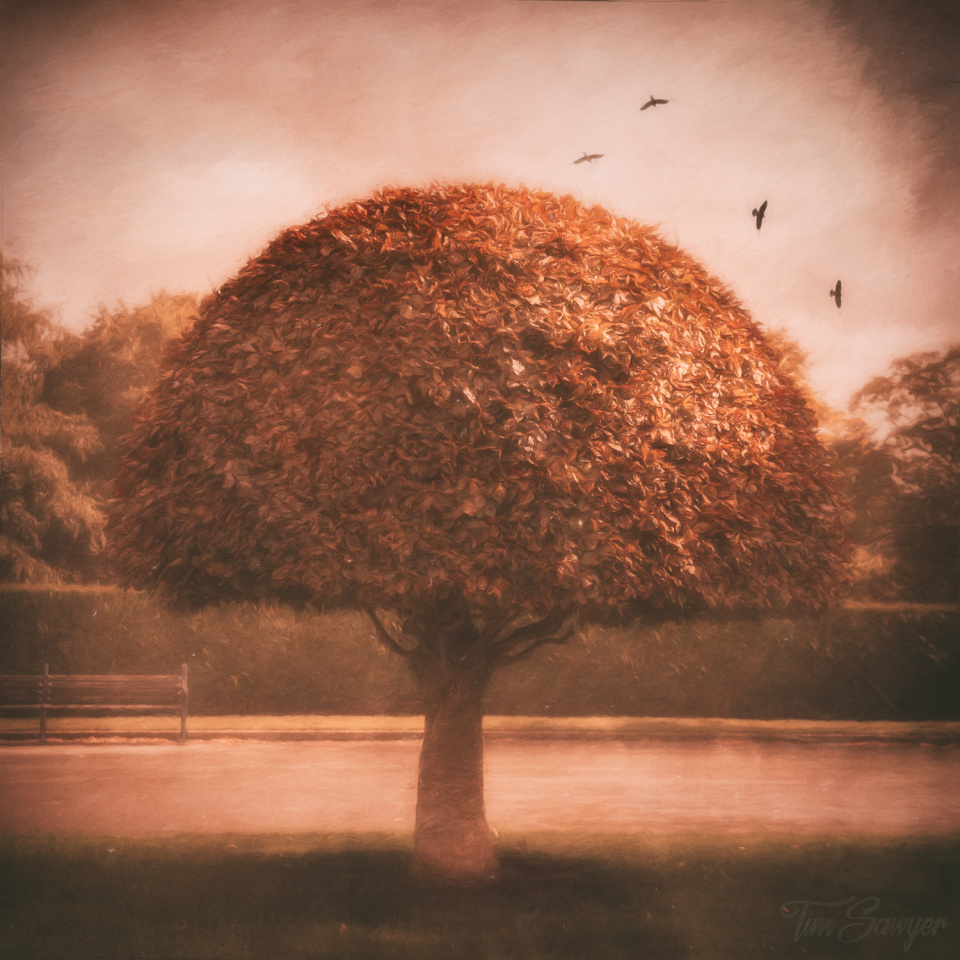 Hemisphere Tree | Hotmandarins | Blipfoto