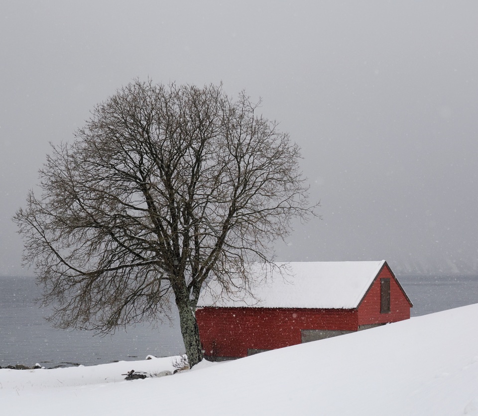 Islands | Technophobe | Blipfoto