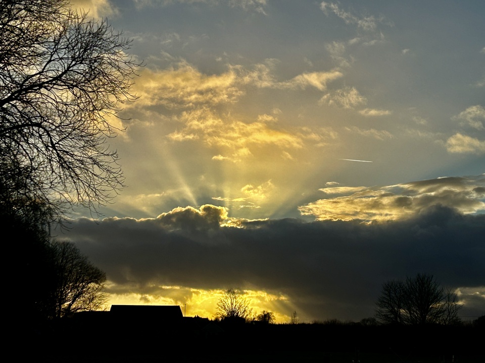 THIS EVENING'S WALK. | Larchlea | Blipfoto