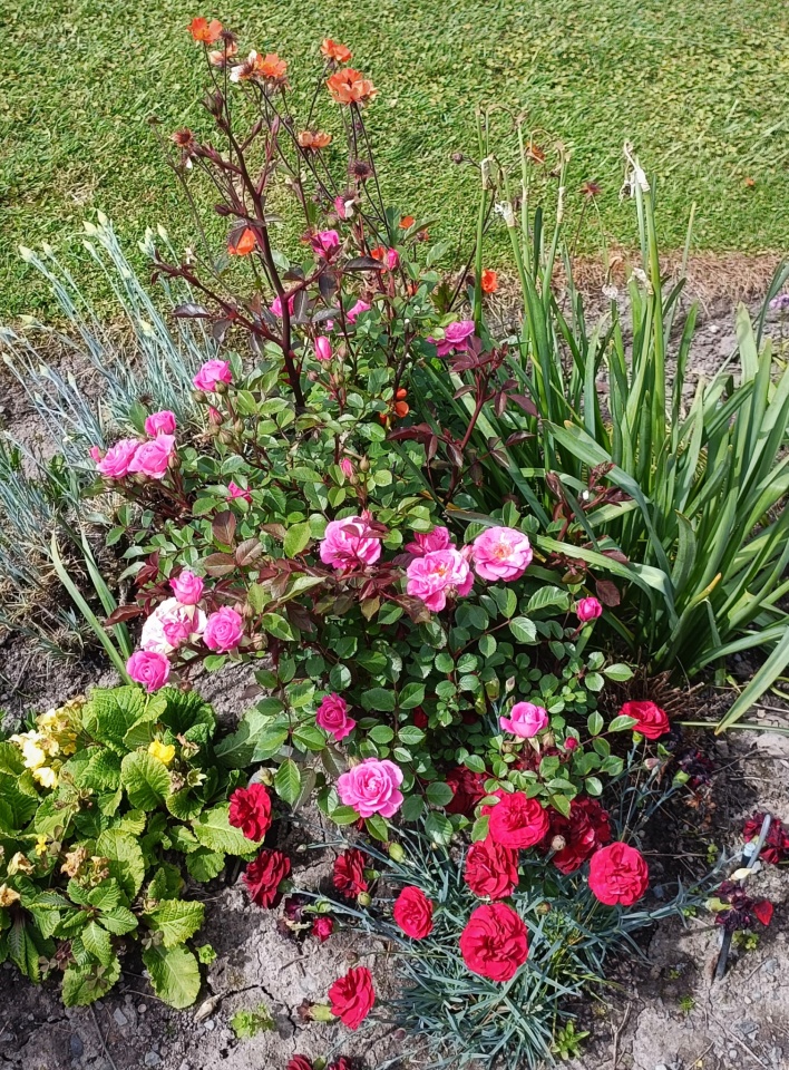 Hot Windy Day | JMK | Blipfoto