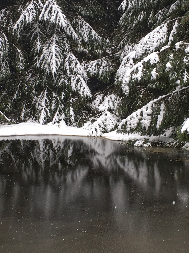 Snow reflections | friedaquilter | Blipfoto