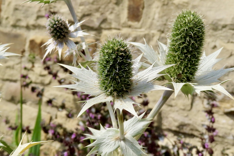 All done | Jaybay | Blipfoto