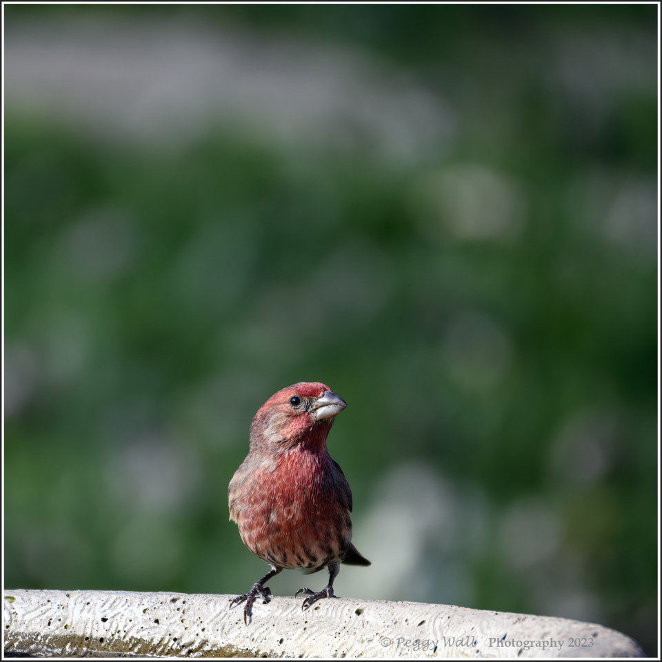 Not Abstract ... | KangaZu | Blipfoto