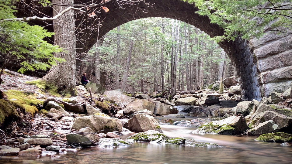 Kebo Brook | madowoi | Blipfoto