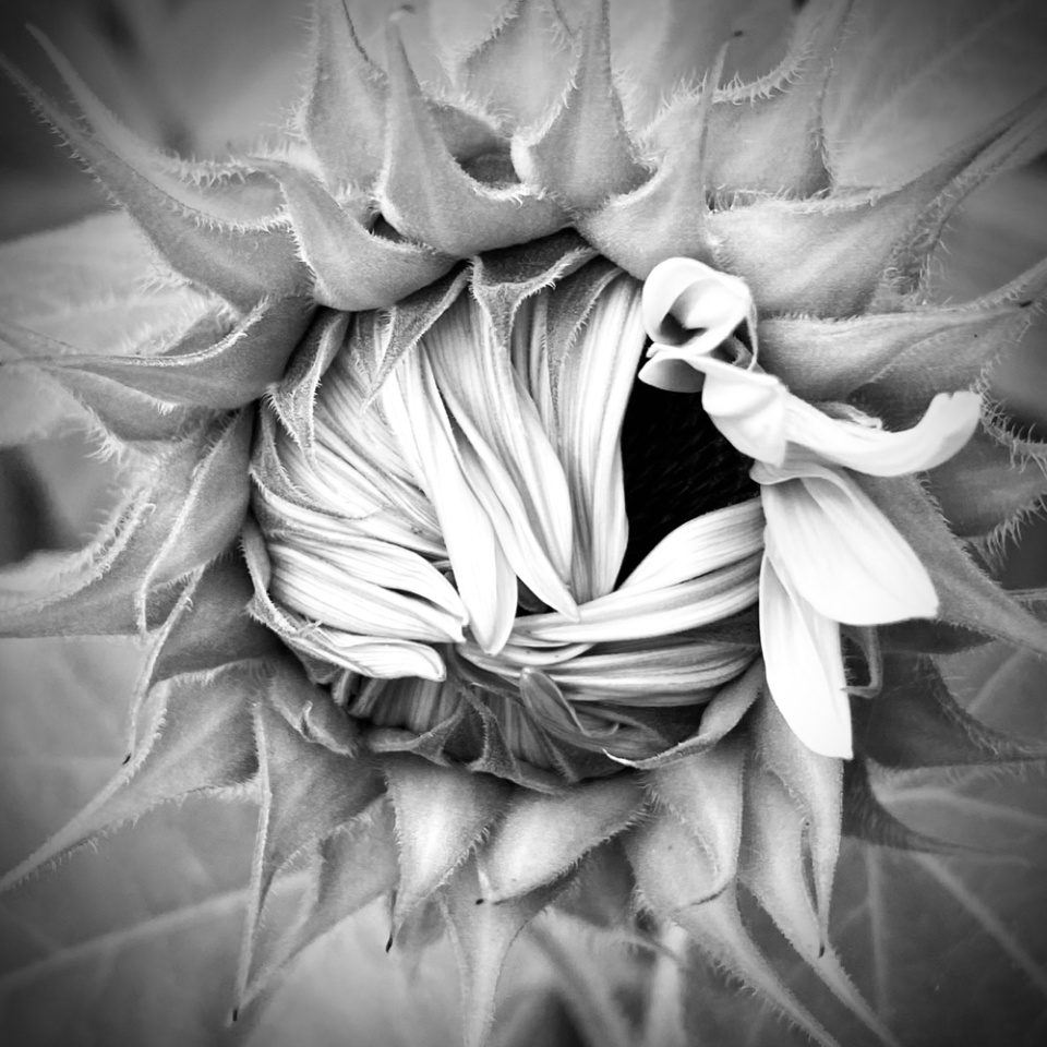 Unwrapping | Pixelstate | Blipfoto