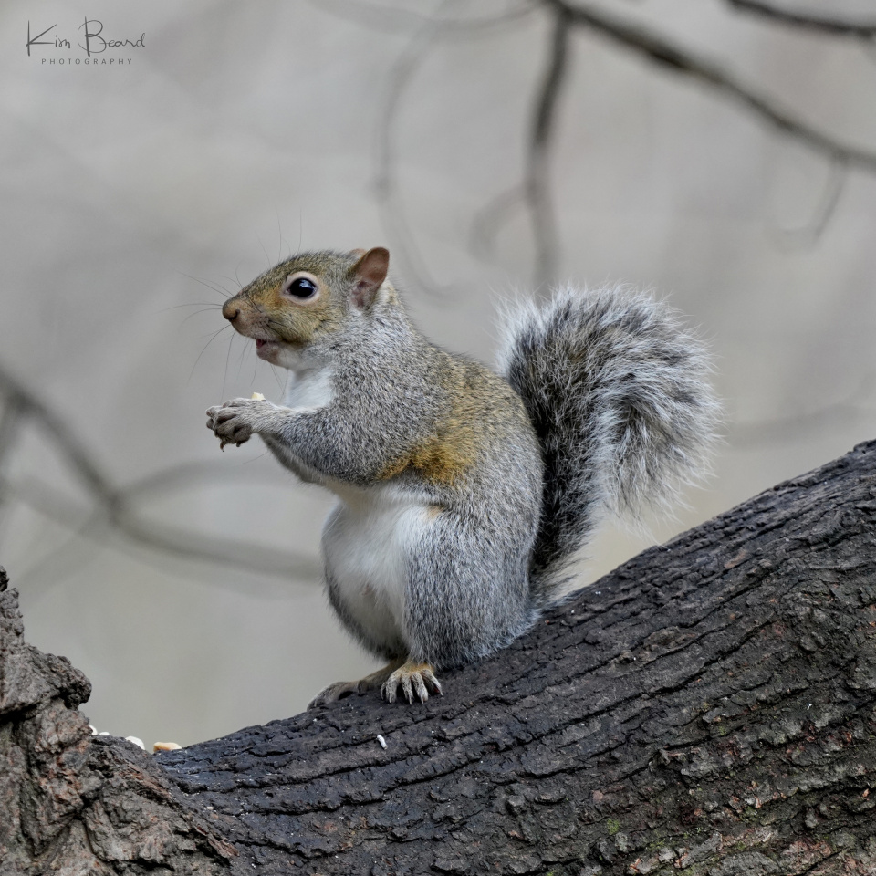 Finally! | Kimb | Blipfoto