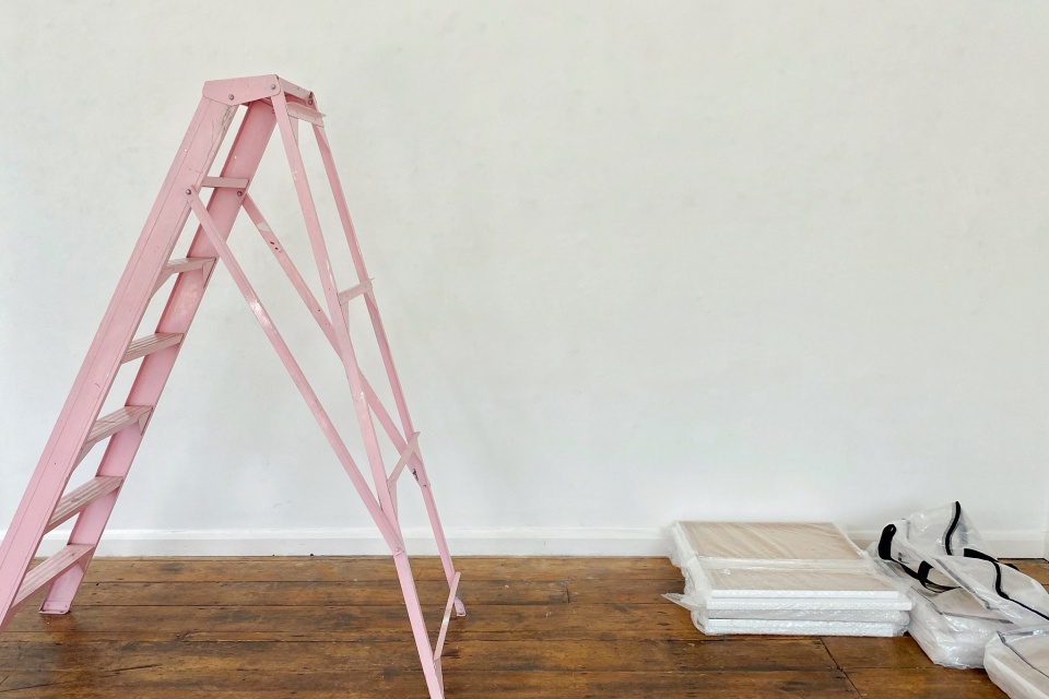 The Pink Ladder | Pokeybagel | Blipfoto