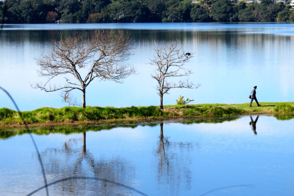 Post lunch activities | waipushrink | Blipfoto