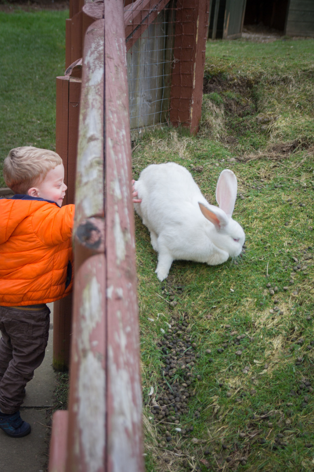 CyclopsJnr and a Rabbit | cyclops | Blipfoto