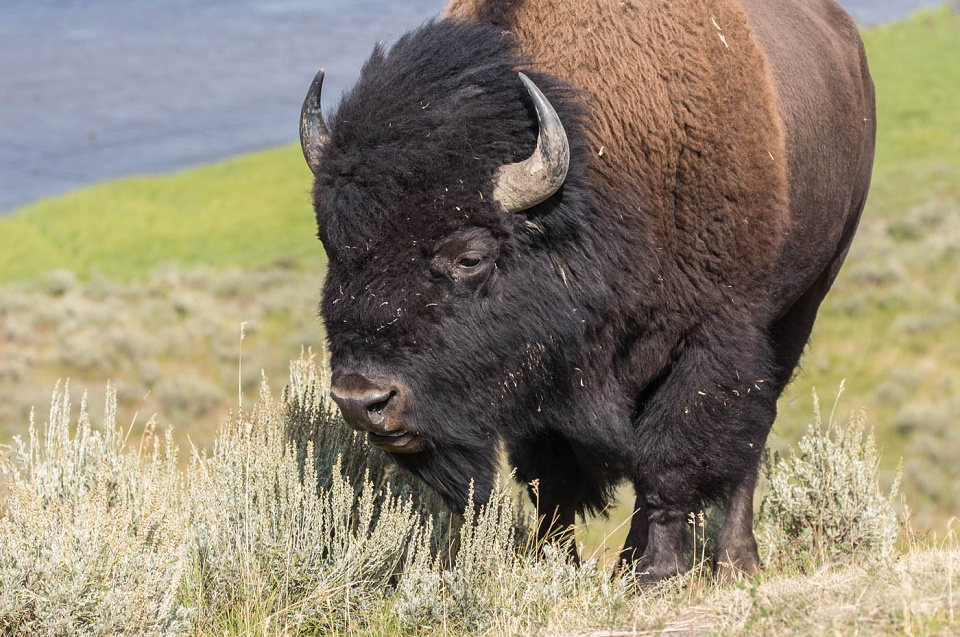 Got the Power | Technophobe | Blipfoto