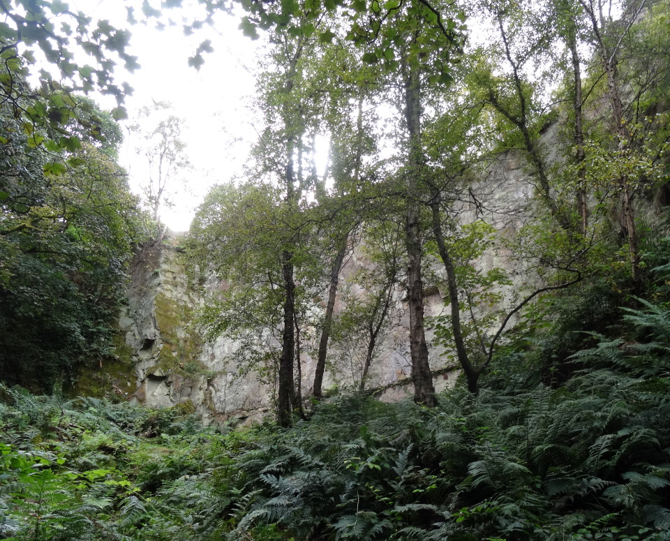 Craigleith Quarry | sheilwill | Blipfoto