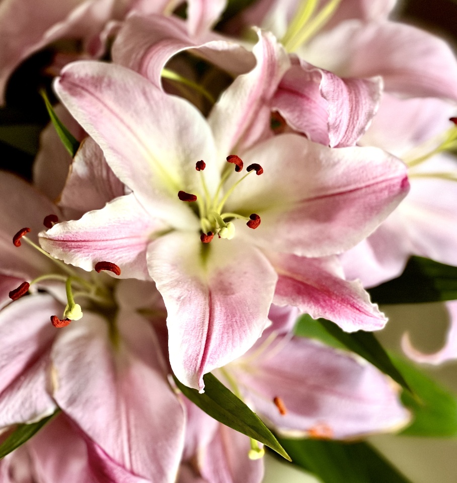 Friday Feeling | Romay | Blipfoto