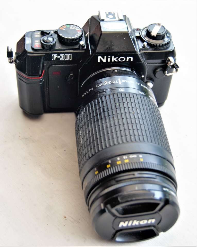 Picture This | Alan_Rodger | Blipfoto