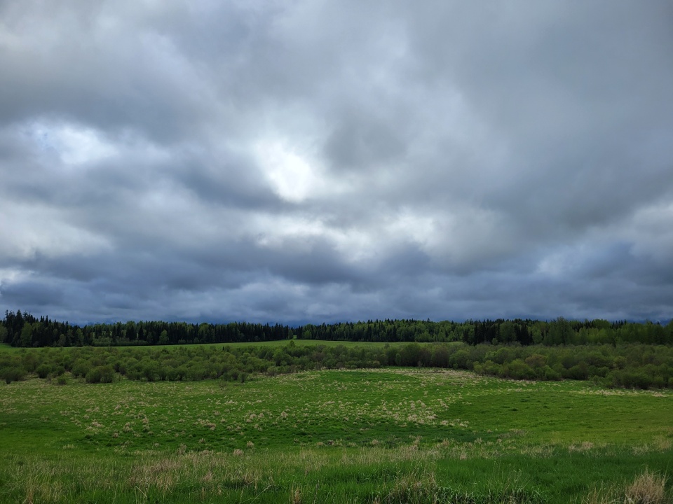 Rumbling clouds | thedoglady | Blipfoto