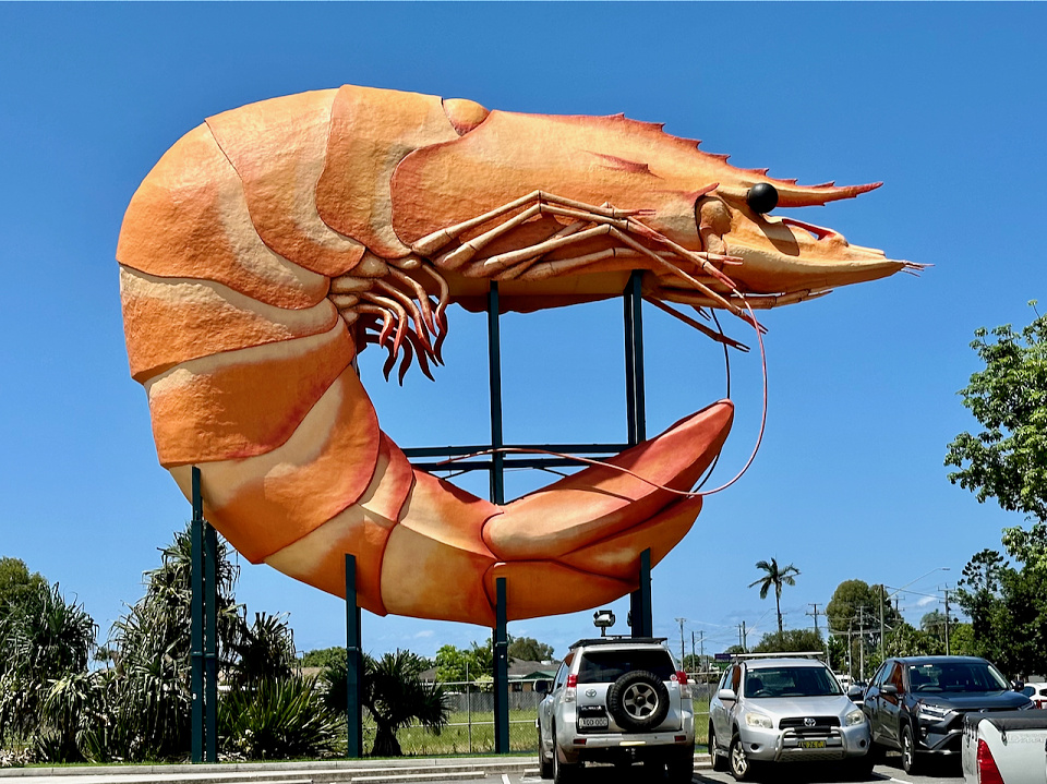 Silly Prawn | BanksiaMan | Blipfoto