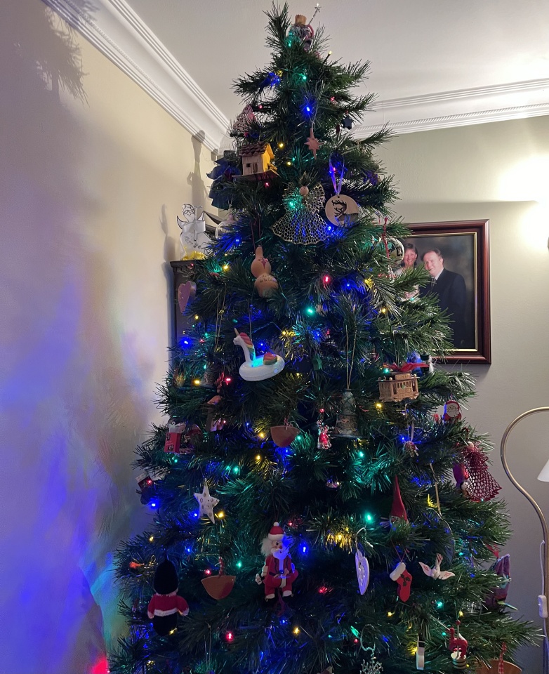 And the tree is up | Pinkhairedlady | Blipfoto