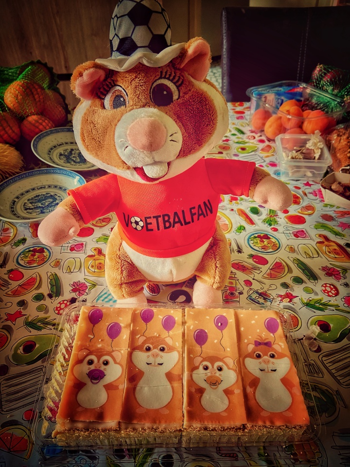 Hamsters | Ingeborg | Blipfoto