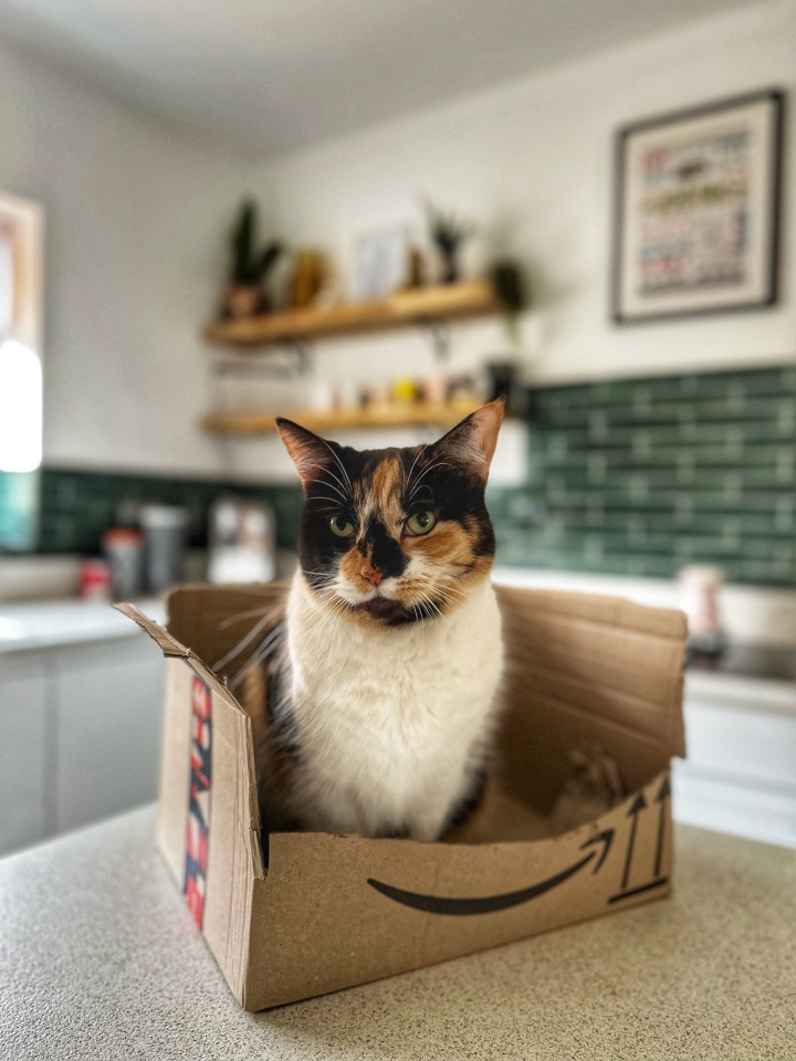 A rare sight… | JaneW | Blipfoto