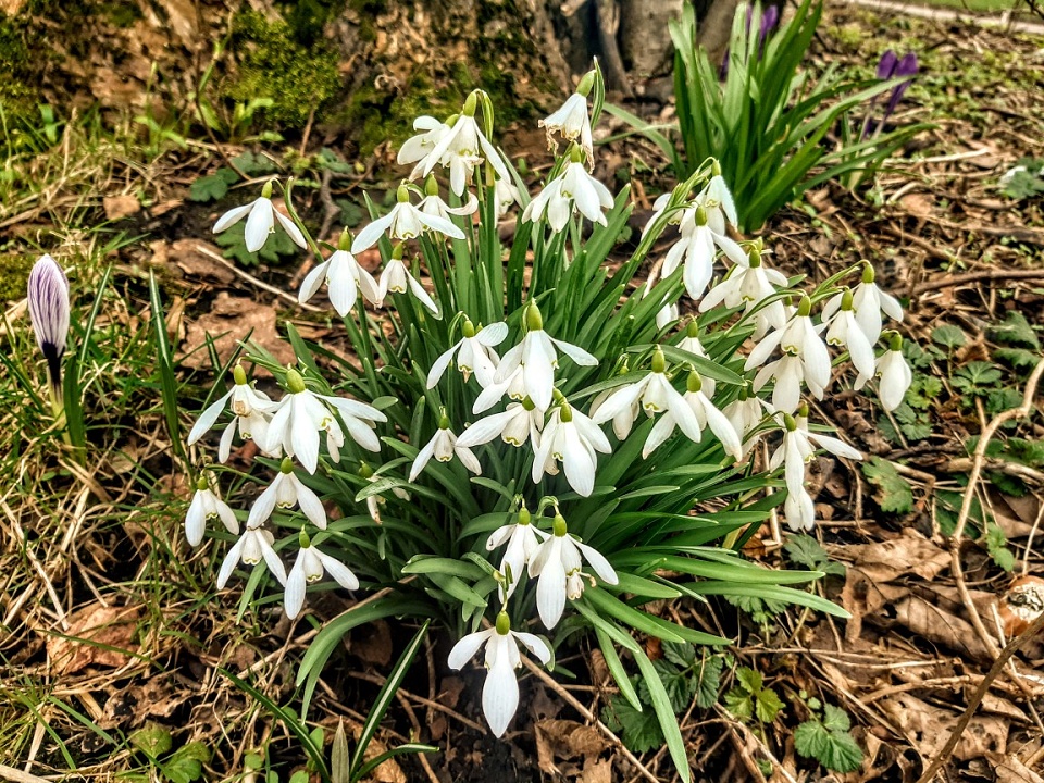 Seasonal | Alan_Rodger | Blipfoto