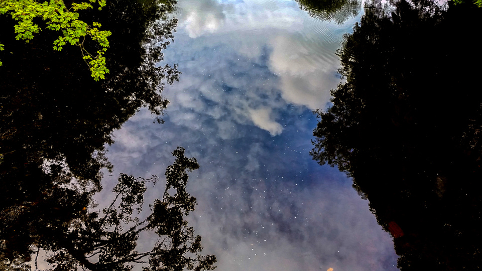 Banwy | IanWright | Blipfoto