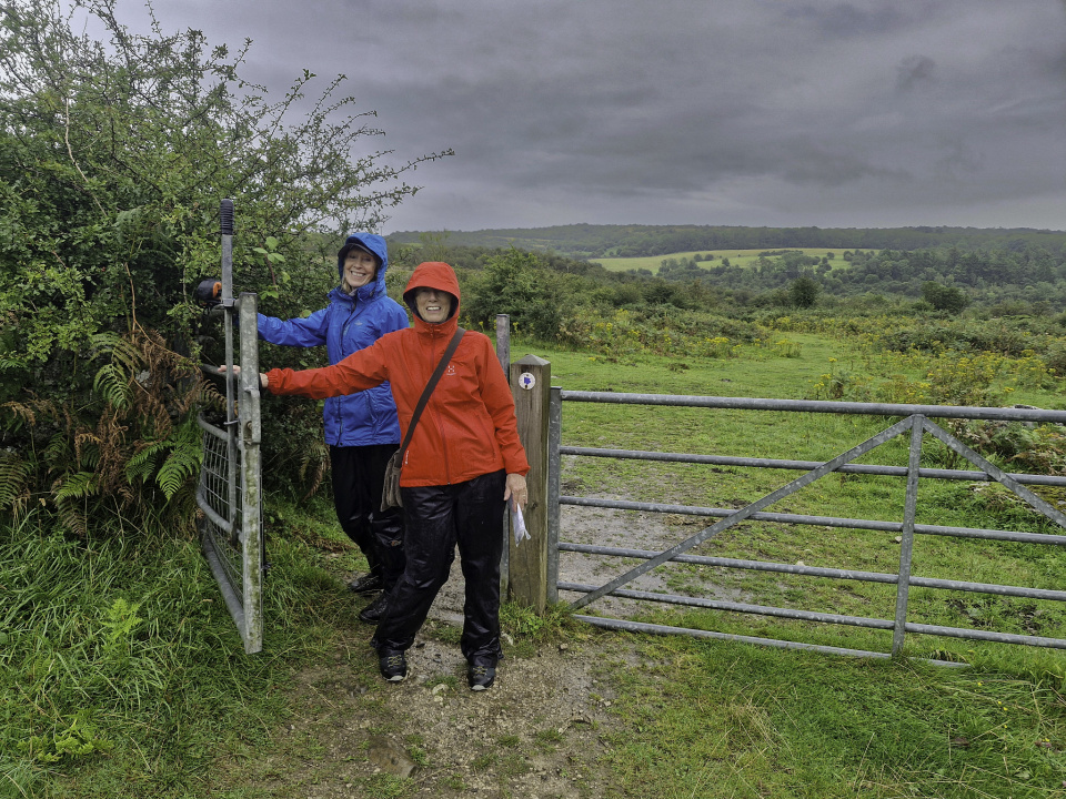 Farleton Knott | Puffin | Blipfoto