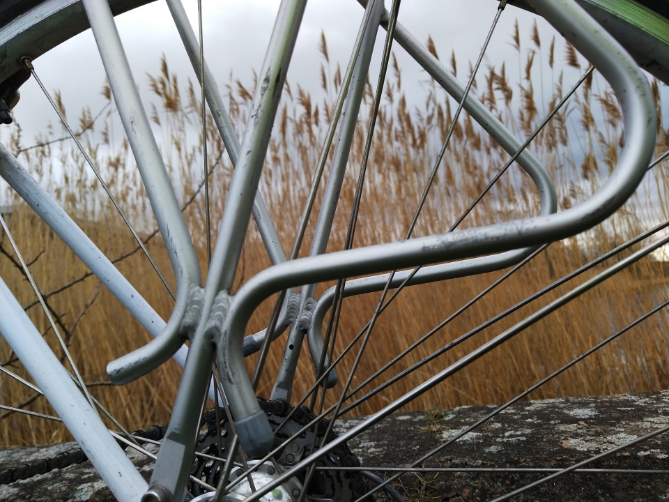 Reeds through spokes | inukshukne | Blipfoto