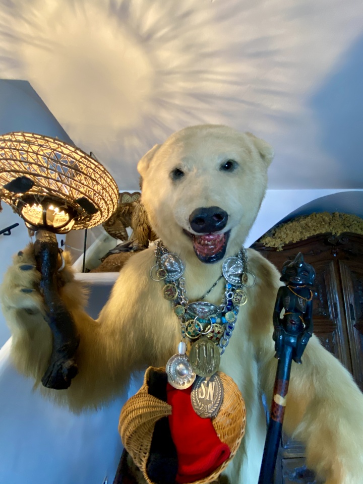 Dali’s bear | JHKshoot | Blipfoto