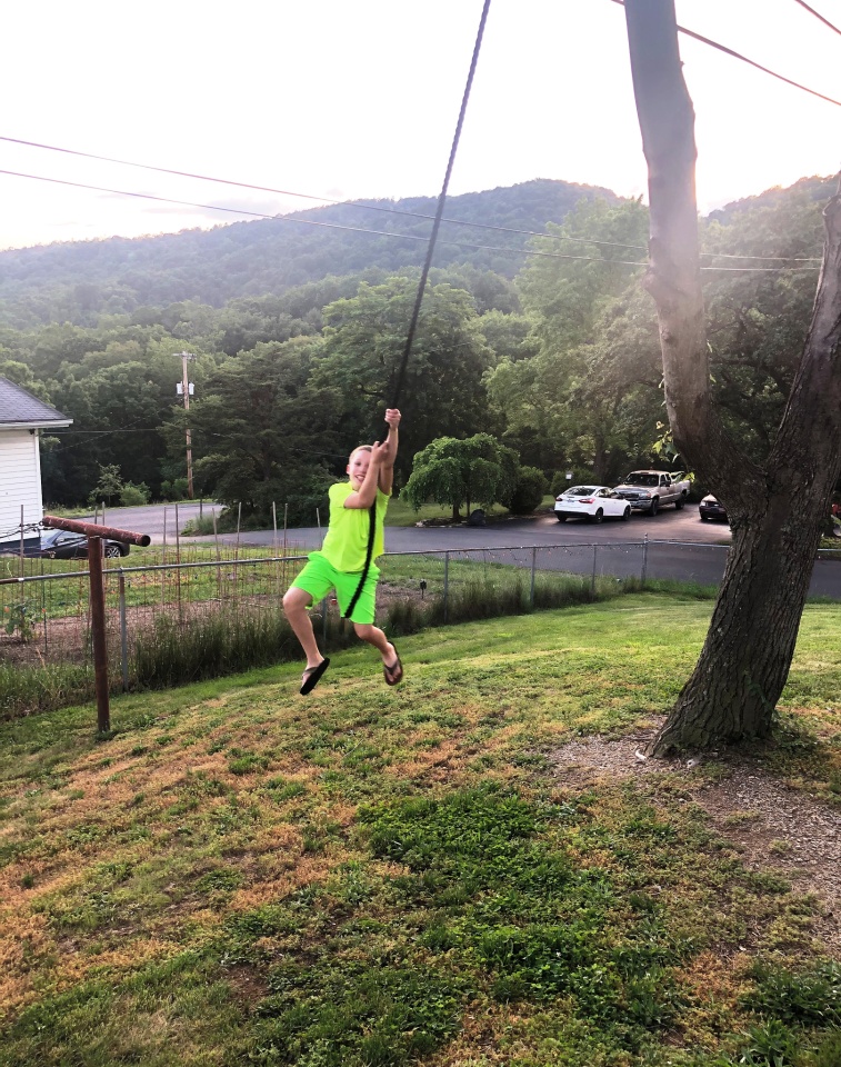 Crazy Swing | TurtleBug | Blipfoto