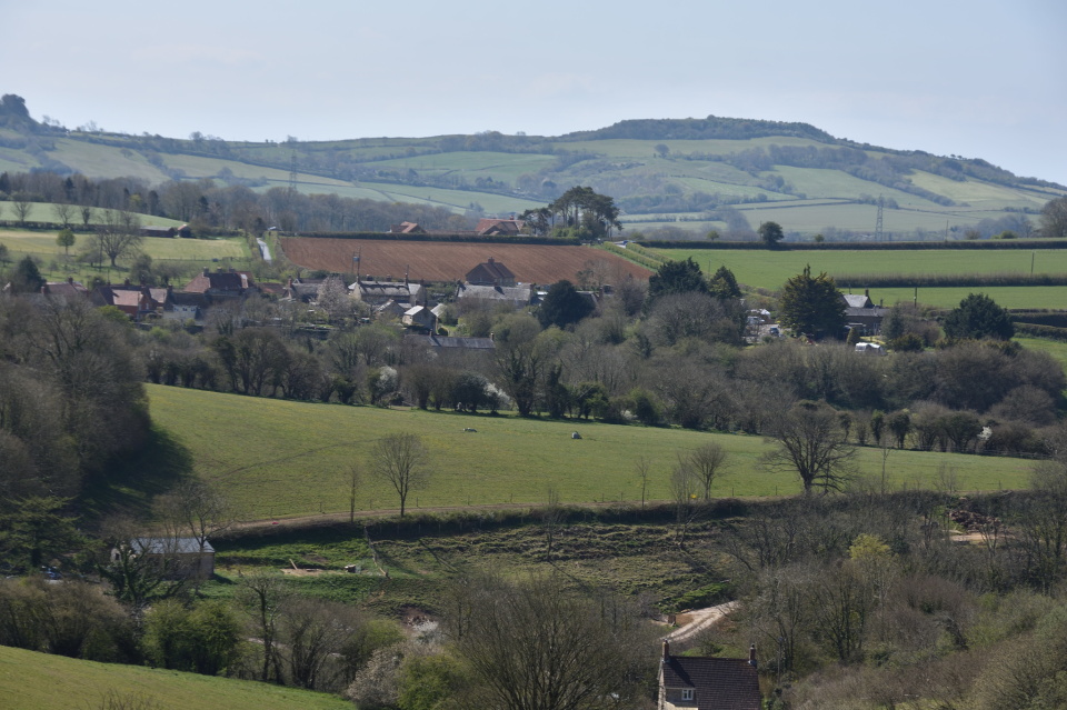 116/365 Nettlecombe ! | Timmynomates | Blipfoto