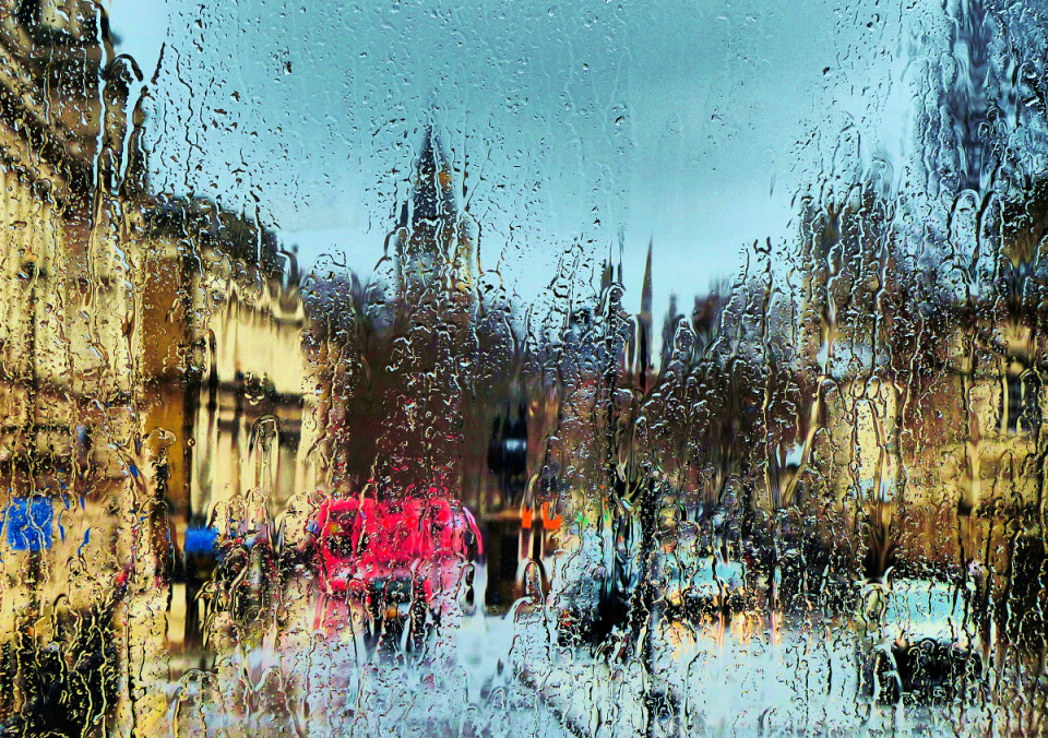 ..and then it rained | spishy | Blipfoto