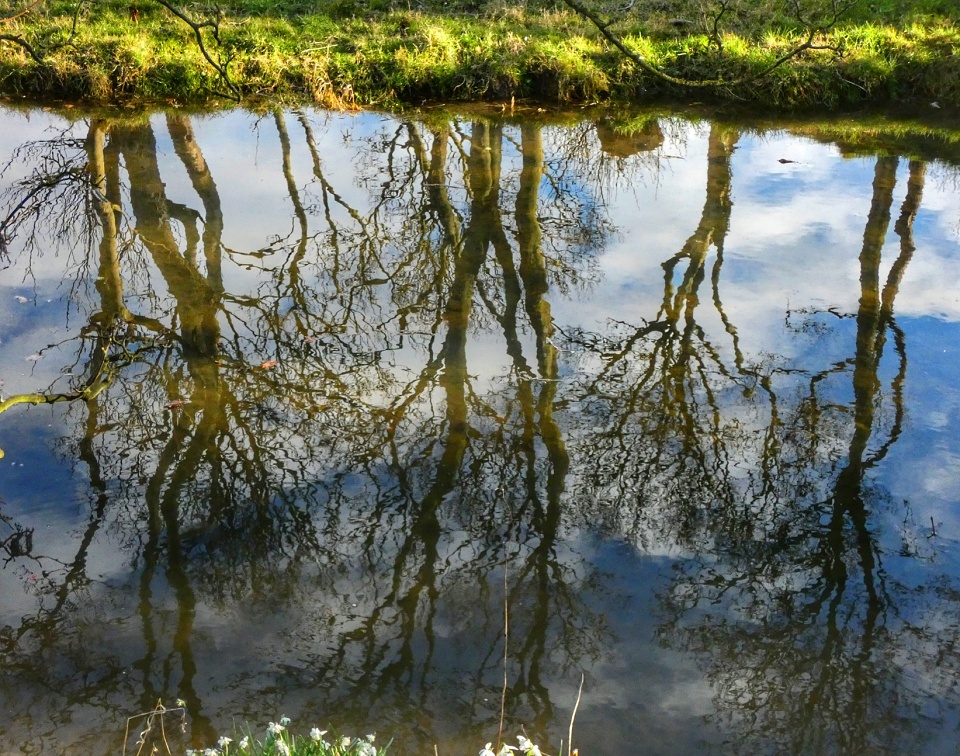 Reflecting... | Cailleach | Blipfoto