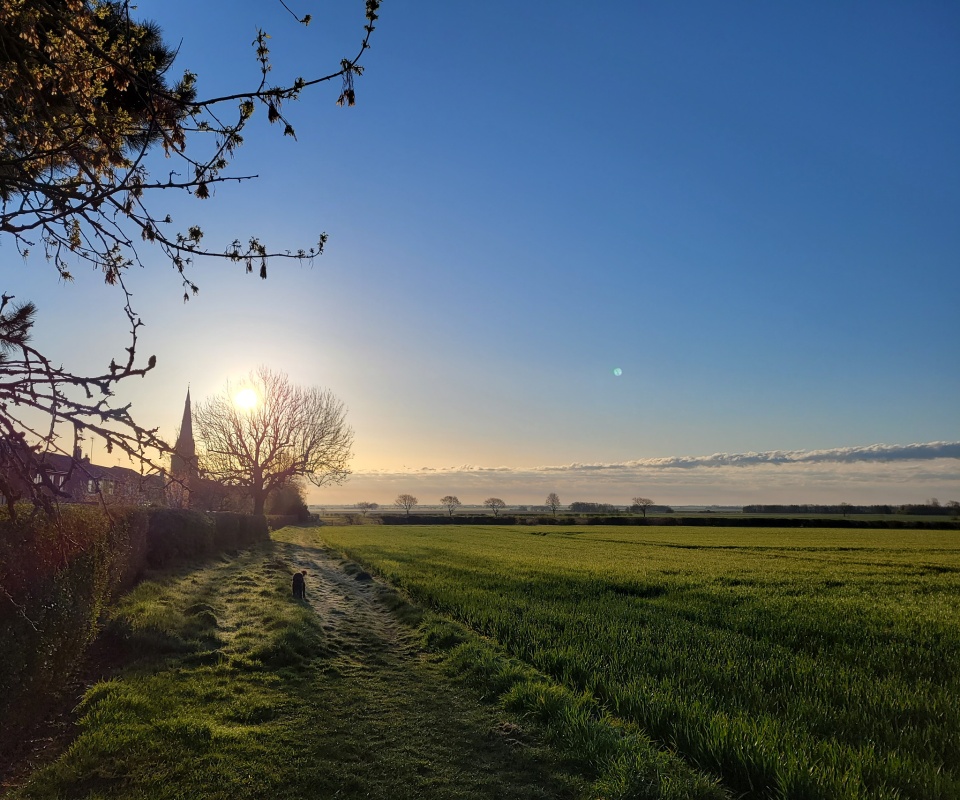 Early Morning, Sunny, Frosty Walk | Byron | Blipfoto