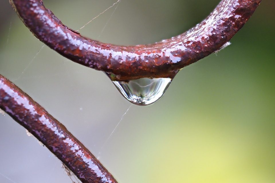 Drip on rust | AnnieBelle | Blipfoto