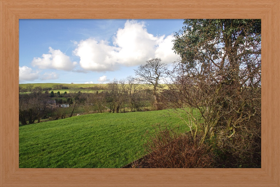 Another view of the back garden | teribirch | Blipfoto