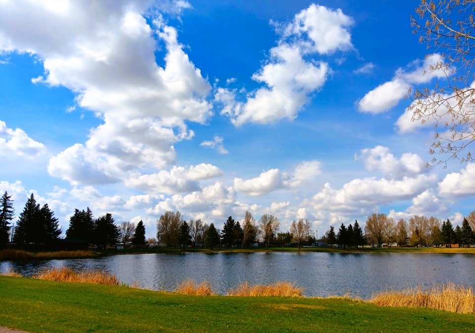 Sun and shadow | TiciaS | Blipfoto