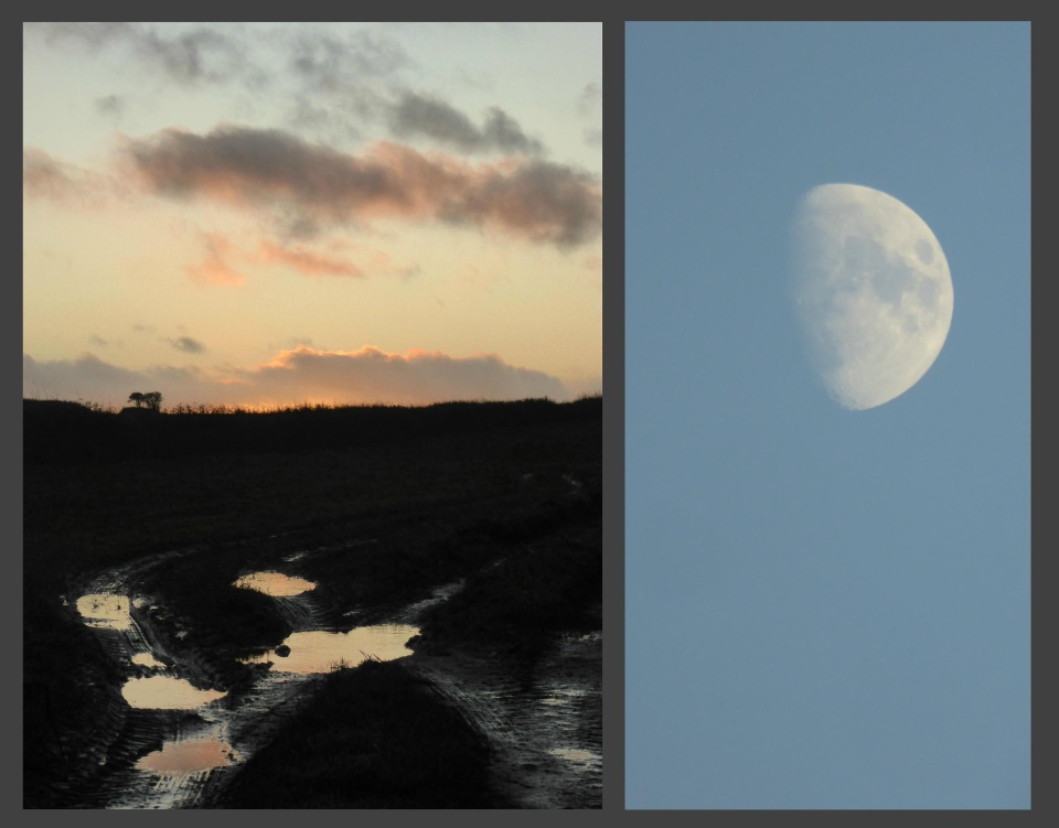 Half an hour before sunset | PicturePoems | Blipfoto