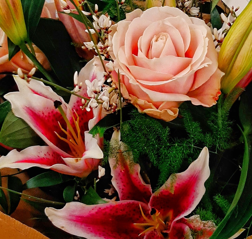 Flooo-ooh-er! | Cailleach | Blipfoto