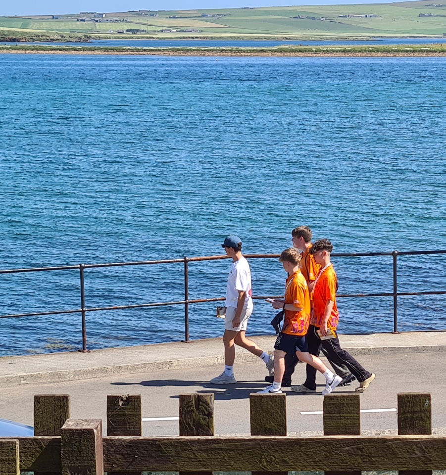 ON THE FENCE | EllyJay | Blipfoto