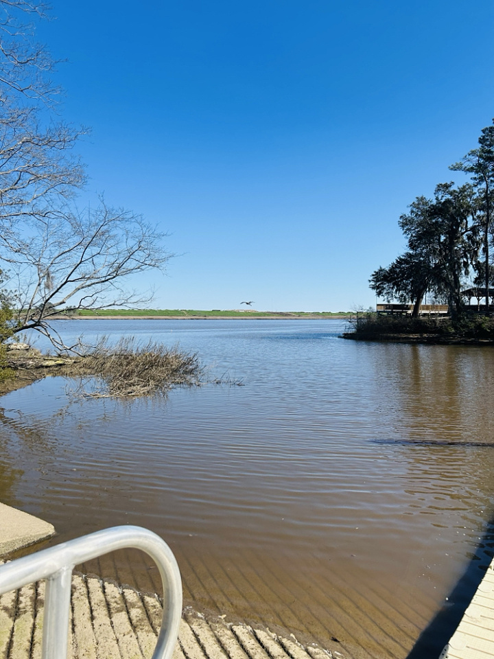 He Almost Got Away | Doingok | Blipfoto