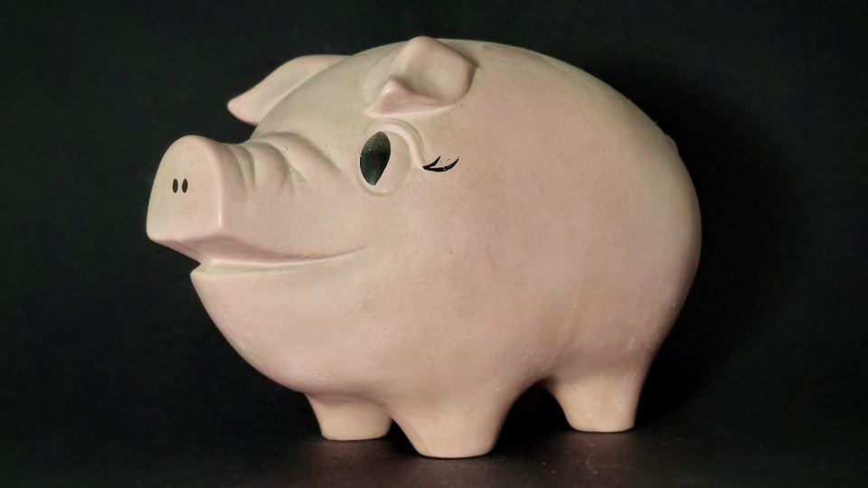 This little piggy.... | JohnRH | Blipfoto