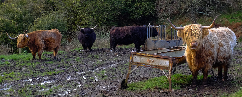 Glorious Mud! | snapper | Blipfoto