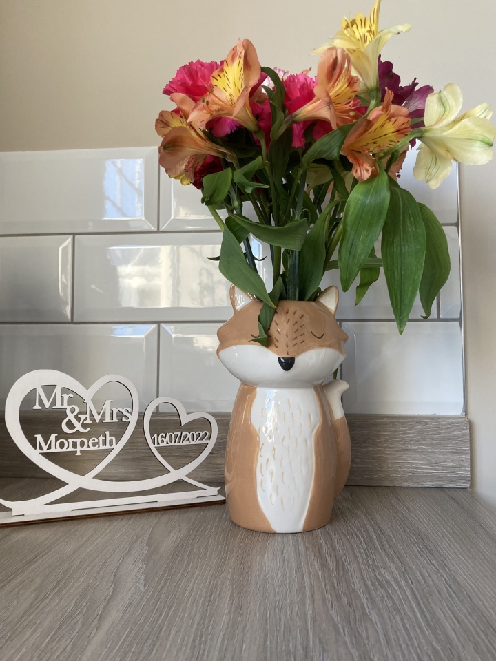 Foxy | Alison666 | Blipfoto