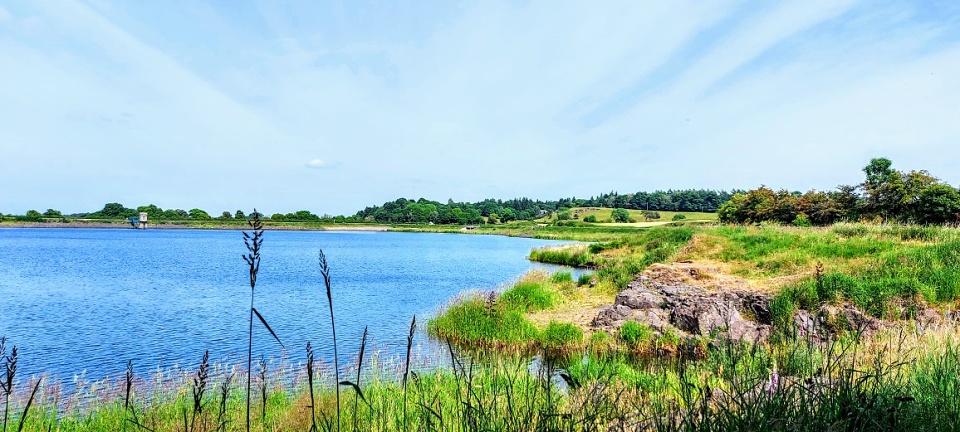 Balgray Reservoir | Brianblip | Blipfoto