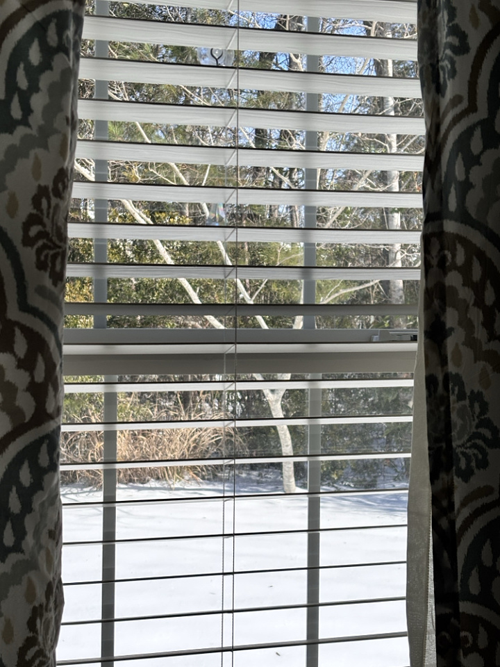 Looking Out | asburydan | Blipfoto