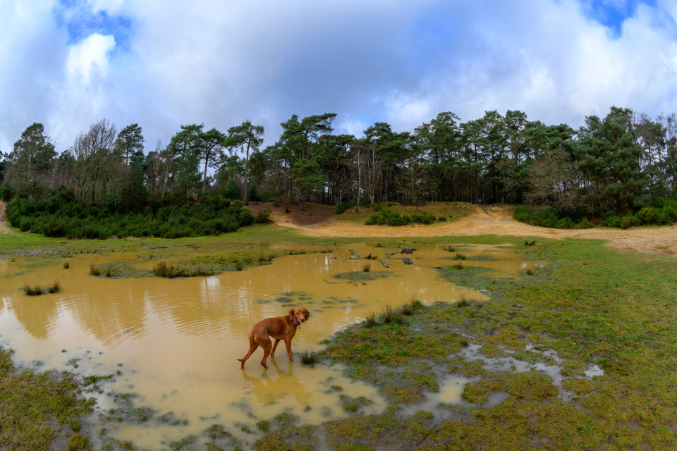 Muddy puddles | NickyR | Blipfoto