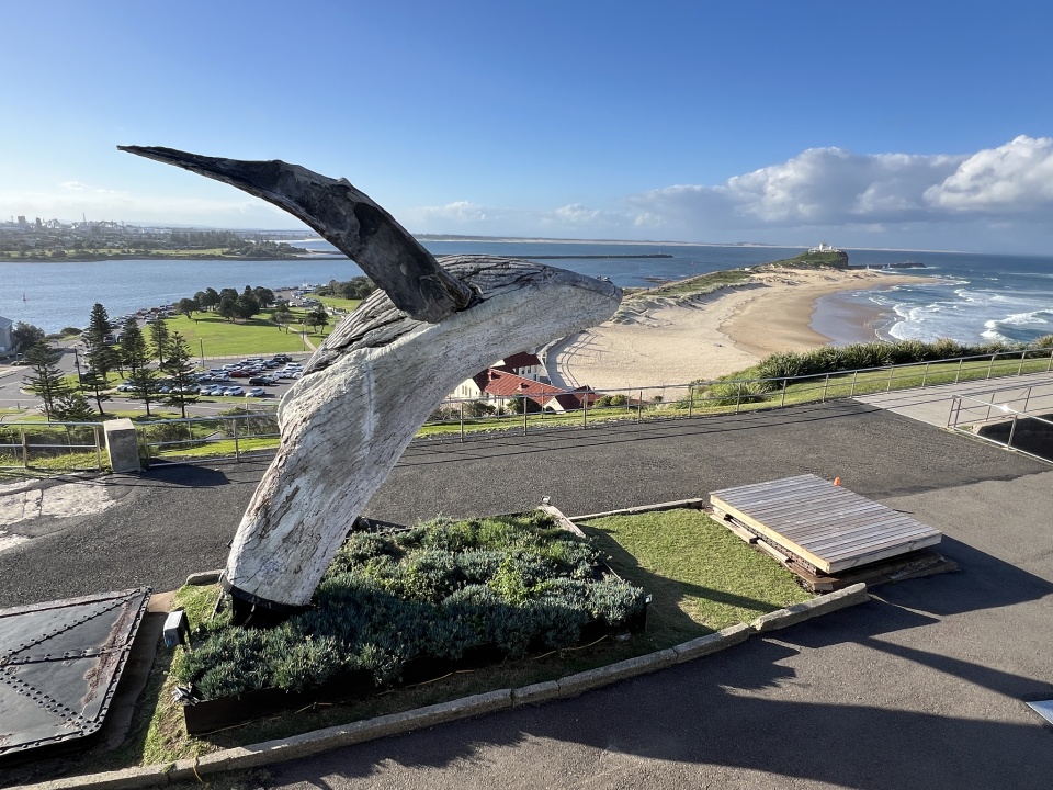 Fort Scratchley | jensphotos | Blipfoto