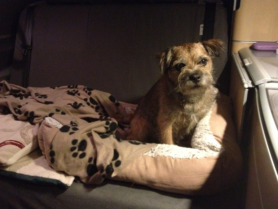 Ready for bed! | HelenM6636 | Blipfoto