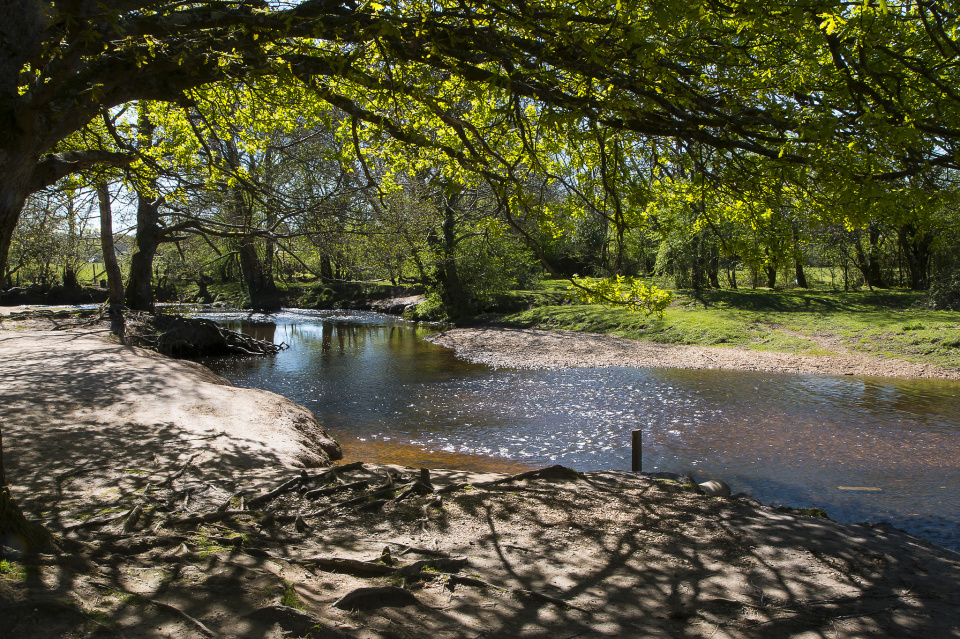 The Lymington River near Brockenhurst, Hampshire | gail_heaton | Blipfoto