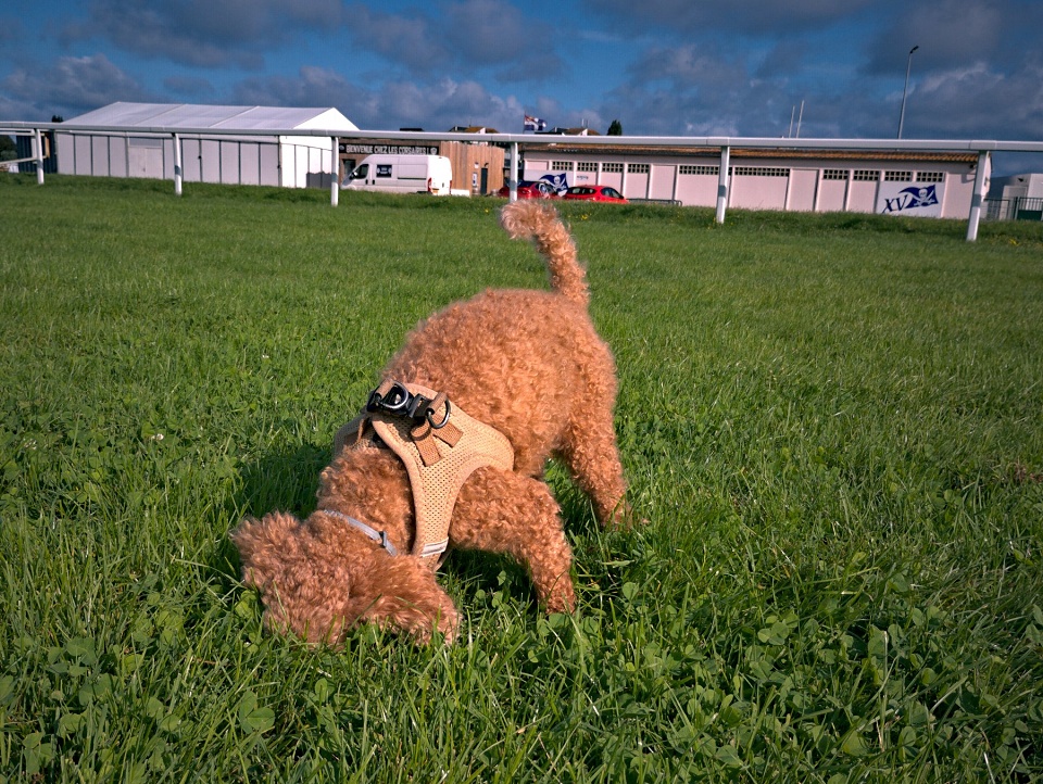 Sniff, sniff | ajt | Blipfoto